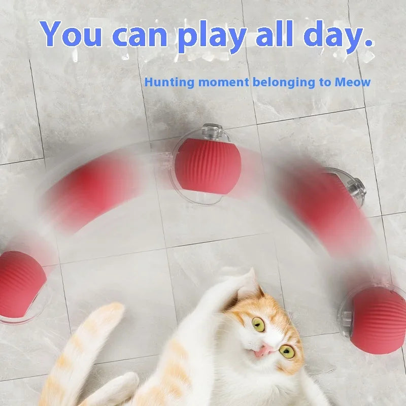 Cat Electric Rolling Ball – Lovely Cat Shop